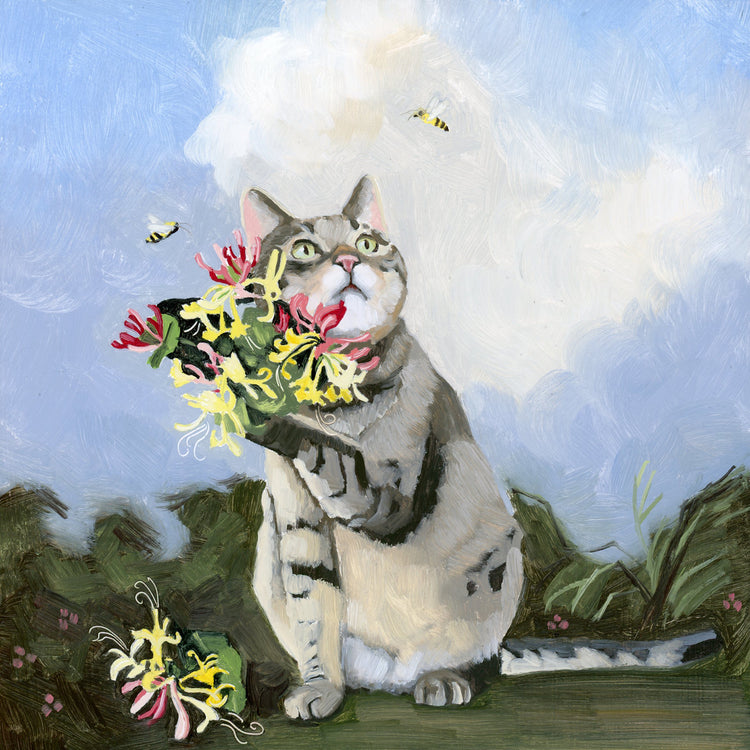 Shop Art | Kim Ferreira Paintings & Prints