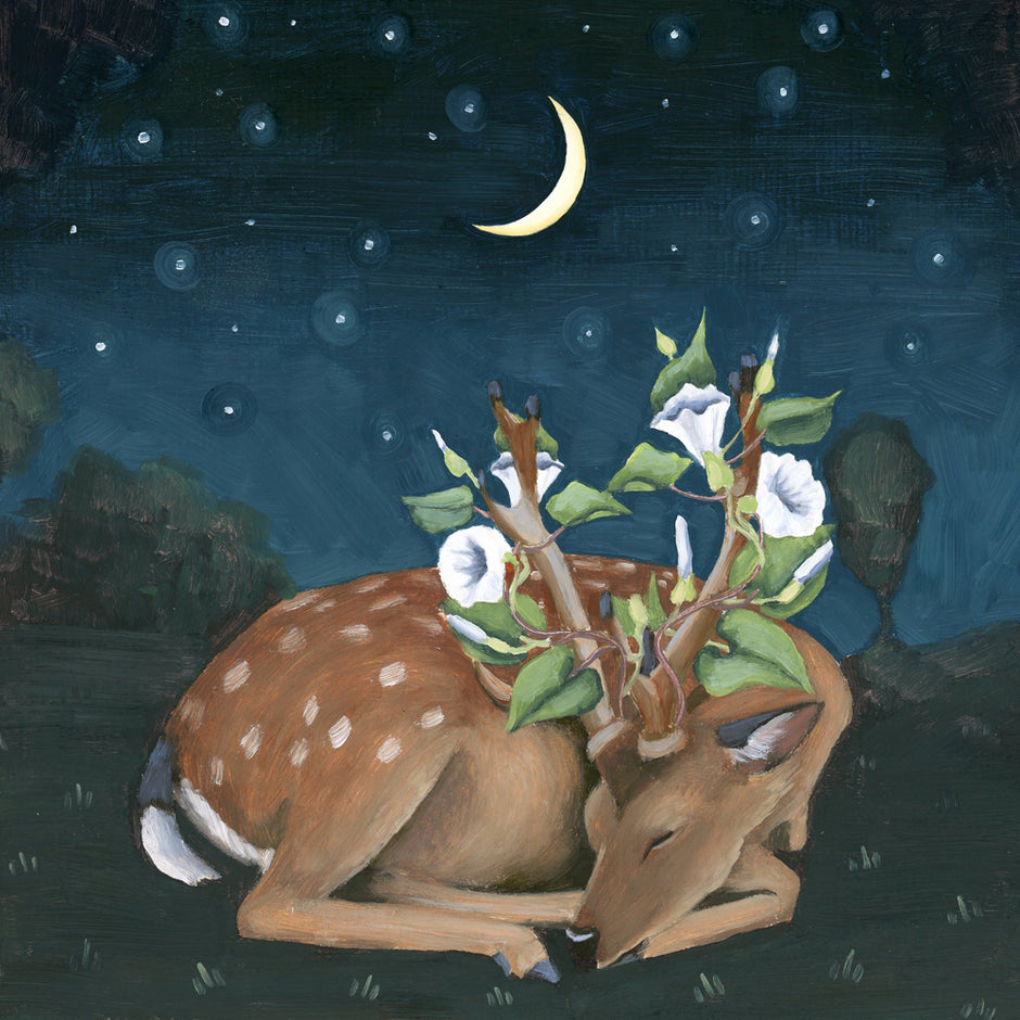 Limited Edition Prints (8x8 and 8x10) – Kim Ferreira